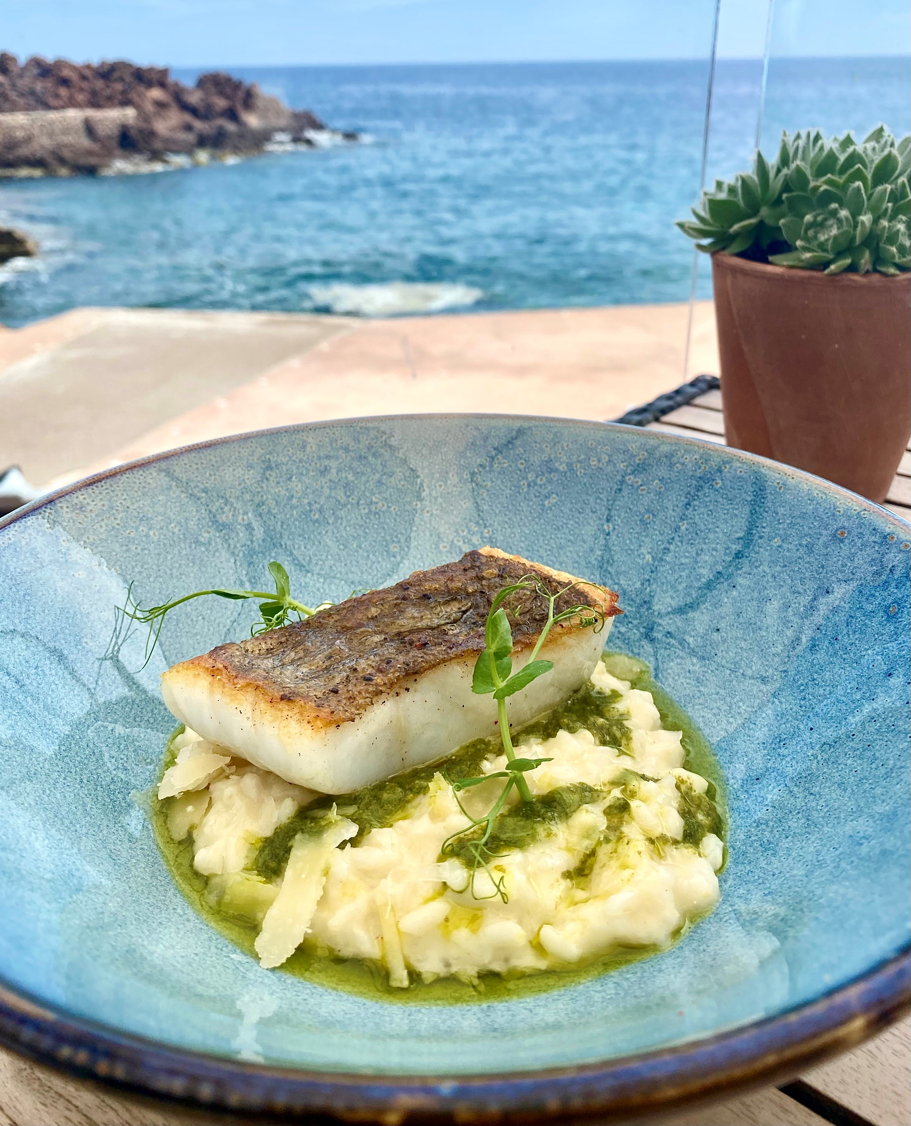 Mapstr - Le MoYa Théoule-Sur-Mer - Restaurant, Hotel, Francais, Piscine ...